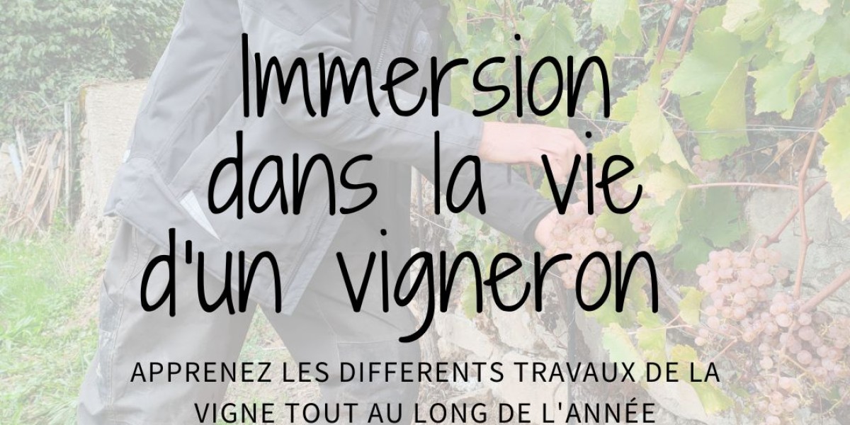 Immersion dans la vie d’un vigneron ou d'une vigneronne - Lavaux UNESCO