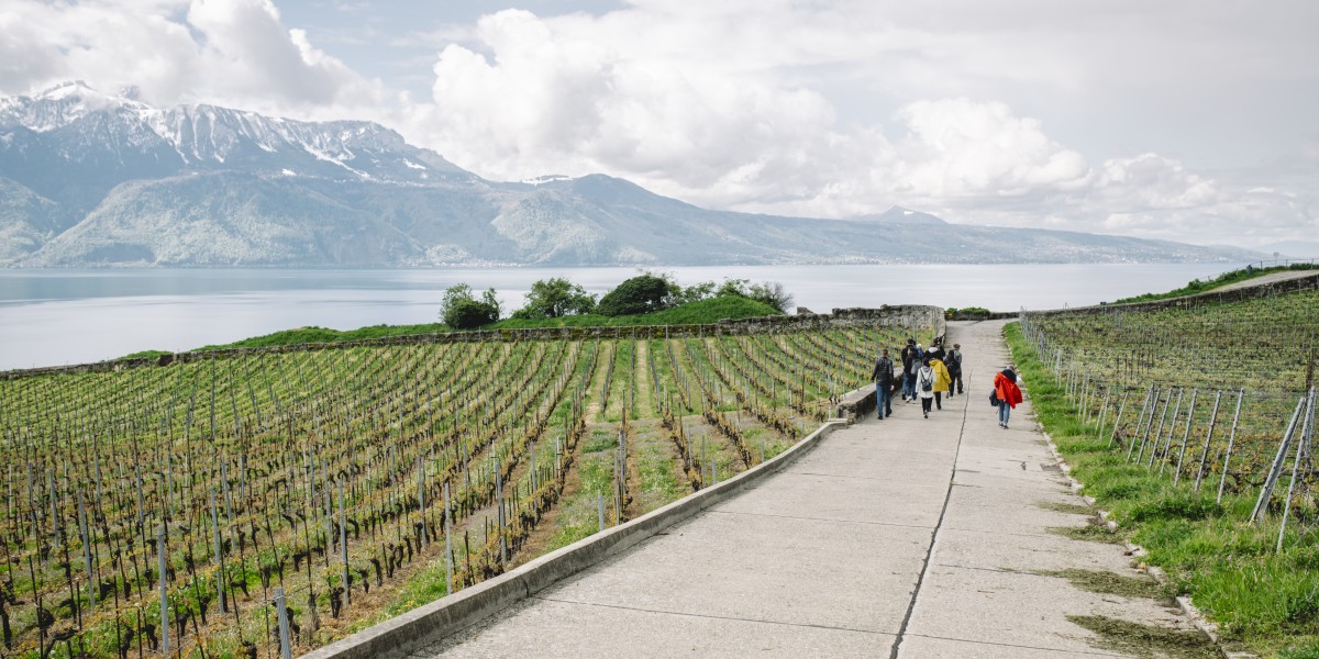 Concours - Lavaux UNESCO