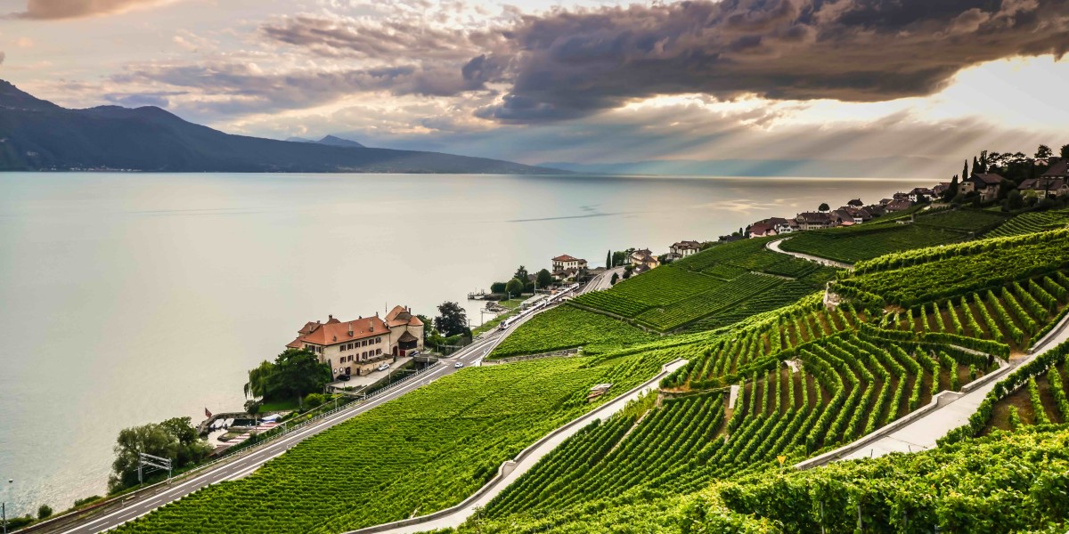 Trésors de l’UNESCO en Suisse - Lavaux UNESCO