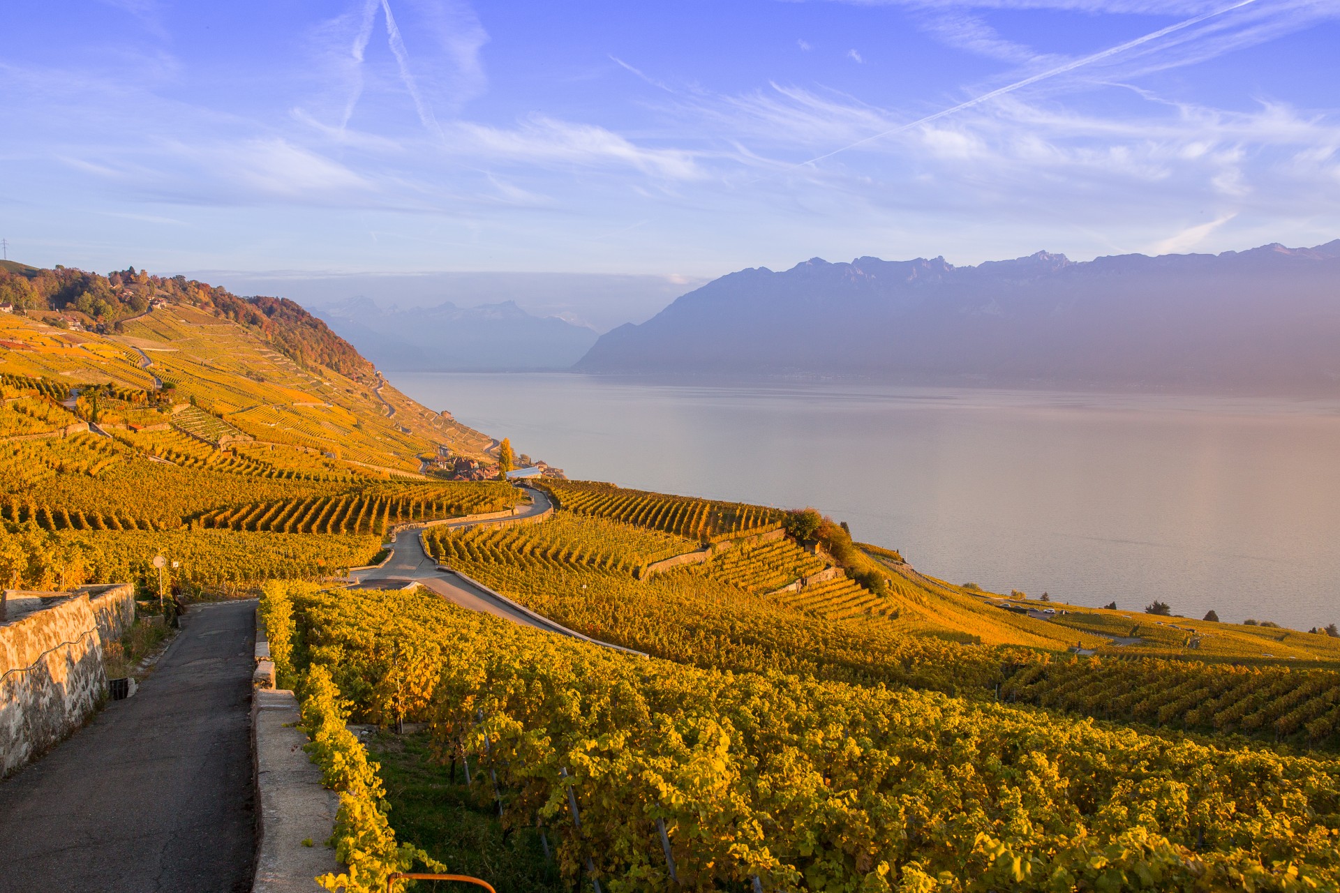 Lavaux, un site à protéger - Lavaux UNESCO
