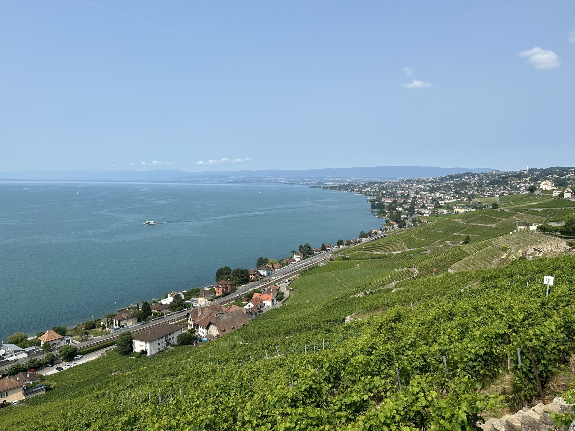 Acteurs institutionnels - Lavaux UNESCO